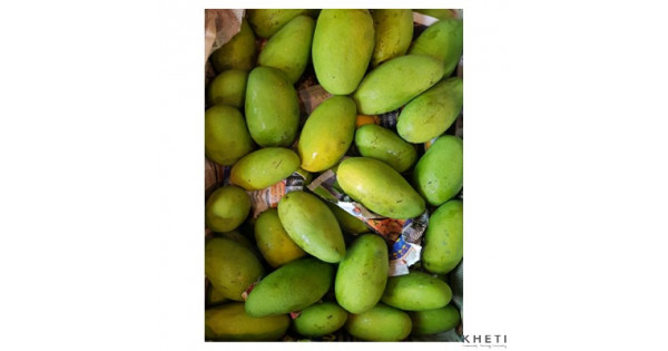 Buy Mango आम @ KhetiFood - Fresh & High Quality at Great Price In Nepal