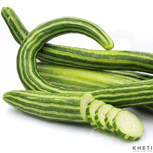 Buy Snake Gourd (Chichindo) चिचिंडा | 1 Kg @ KhetiFood - Fresh, Local ...