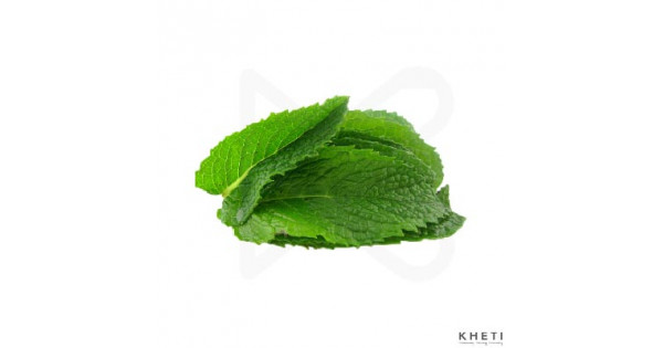 Buy Mint पुदिना | Per Mutha @ KhetiFood - Fresh, Local & Organic ...