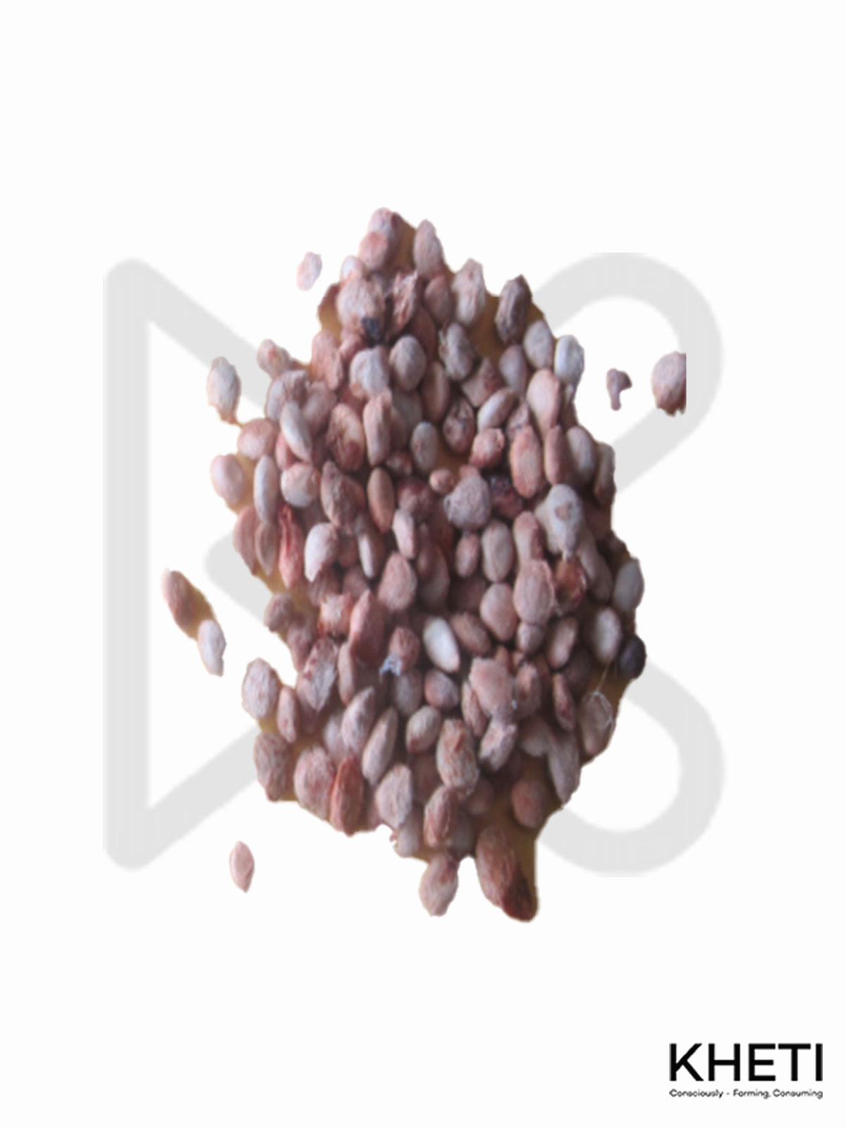 Bel Seed (Custard Apple)