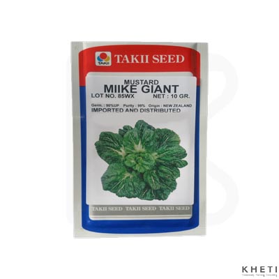 Leaf Mustard Guangdong Helinong